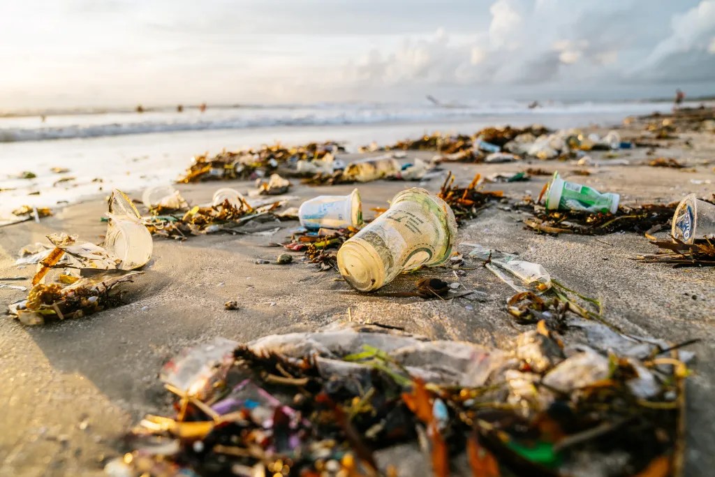 The future of plastic pollution: An interview with Plastic Bank CEO ...